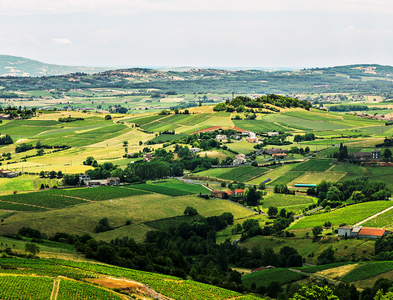 La qualité Candia près de chez vous — Candia